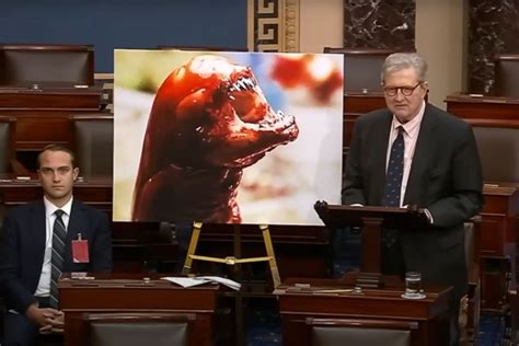 Image result for Alien Shrimp