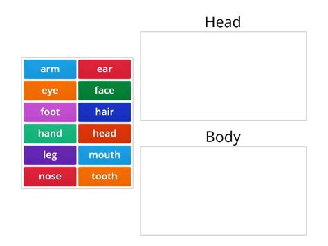 Image result for Body Parts Classifier Example