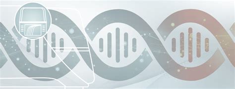 Image result for Real-Time PCR Technology