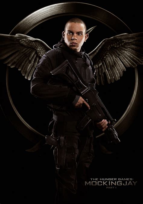 Image result for Blue Mockingjay Hunger Games