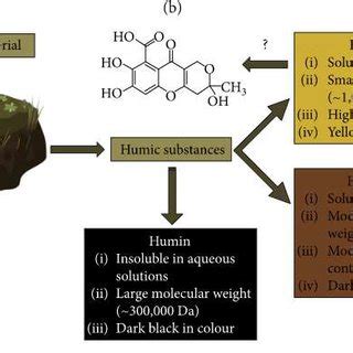 Image result for Humic Compounds