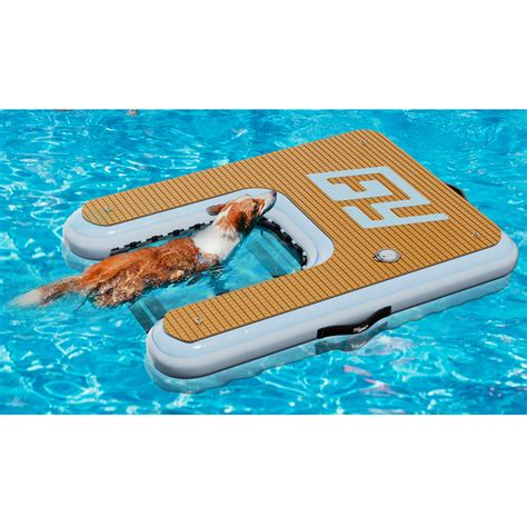 Image result for Inflatable Dog Pool