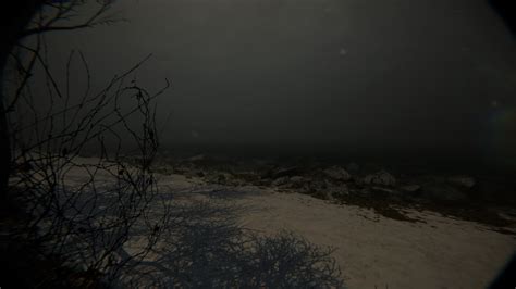 Image result for Digested Snake