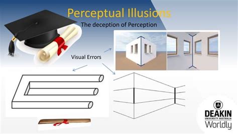Image result for Perceptual Organisation Example