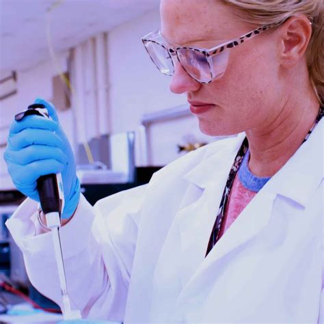 Image result for Enthalpy Change Lab