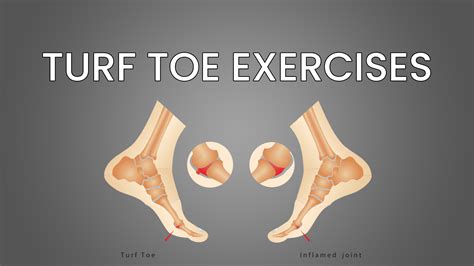 Image result for Toe Up Exercise
