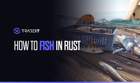 Image result for How to Fish Rust