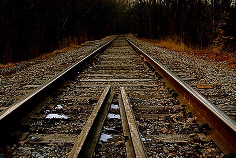 Image result for Examples of Line in Photography