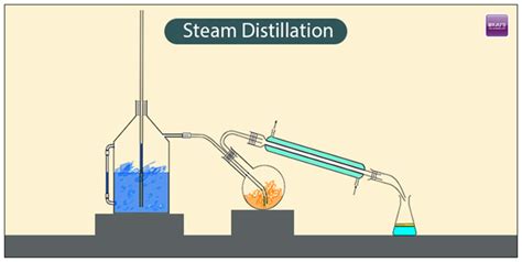 Image result for Steam Distillation Procedure