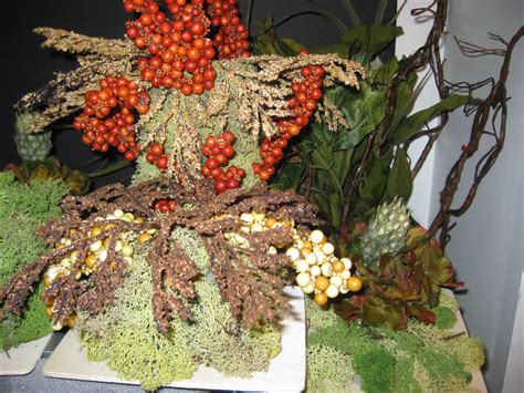 Image result for Alien Plant Life