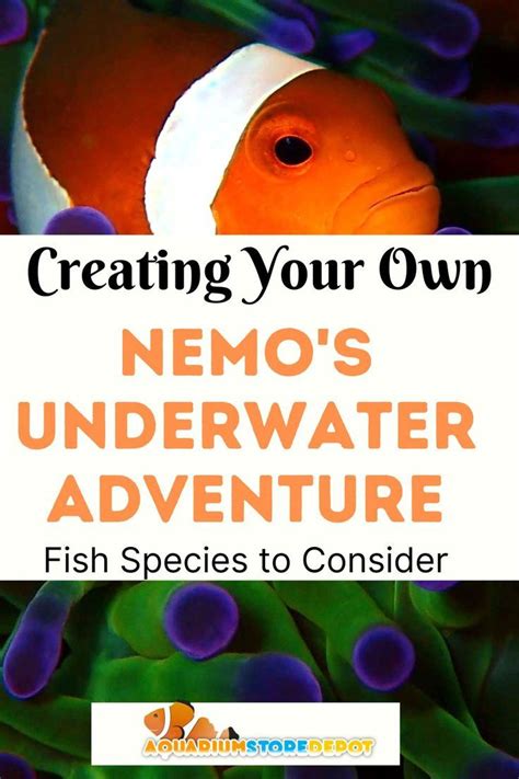 Image result for Finding Nemo Chicken Fish