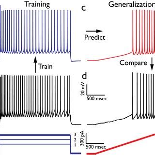 Image result for Algorithm and Model Training and Generalization