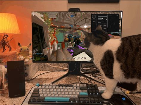 Image result for Cat Playing Rust