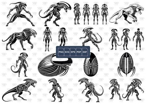 Image result for Alien vs Predator SVG