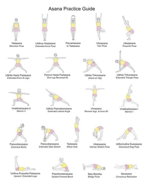 Image result for Exercise Positions