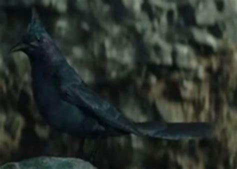 Image result for Science Fiction Mockingjay