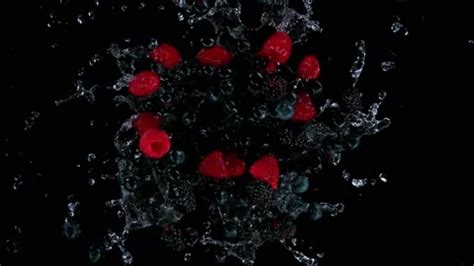 Image result for Slow Motion Exploding Seeds