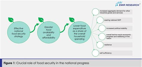 Image result for Food Security Working Model