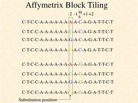 Image result for Microarray Gene Expression