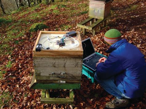 Image result for Raspberry Pi Beehive Monitor