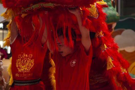 Image result for Alien Dancing Lion