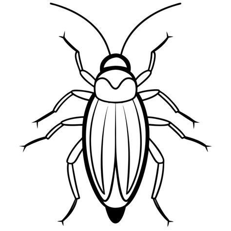 Image result for Cockroach Line Art