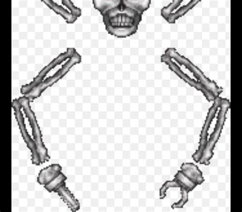 Image result for Esqueletron Tutorial