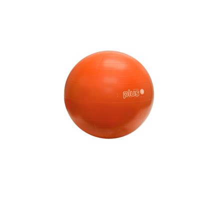 Image result for Inflatable Exercise Ball