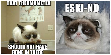 Image result for Grumpy Cat Memes Clean