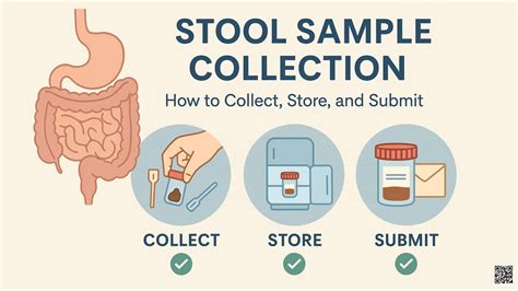 Image result for Collecting Stool Sample