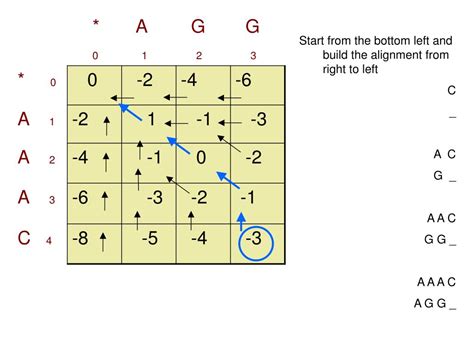 Image result for Global Sequence Alignment Examples