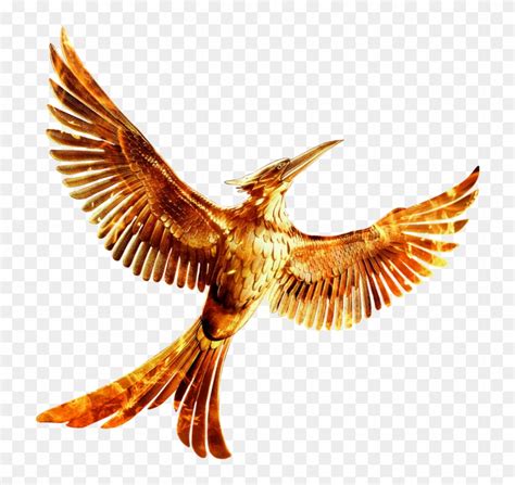 Image result for Hunger Games Mockingjay Pin Outline