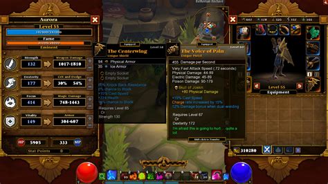 Image result for Torchlight II Builds