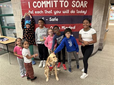 Image result for School Larray Easy