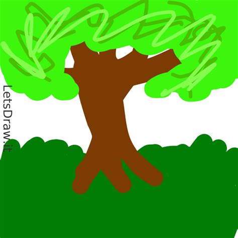 Image result for Tree Image TP Draw