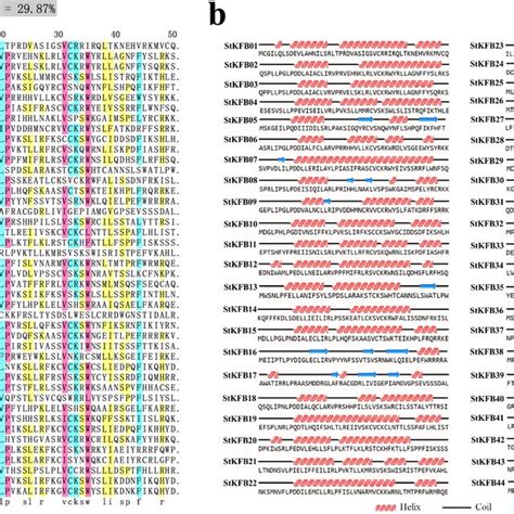 Image result for Multi Sequence Alignment