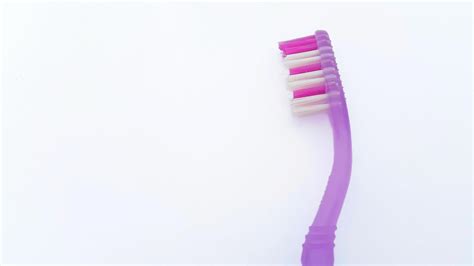 Image result for Toothpaste No Background