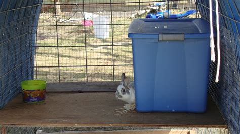 Image result for Rabbit Tractor Design