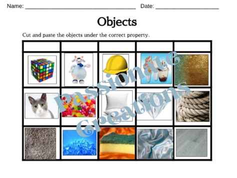 Image result for Classifying Objects in Science