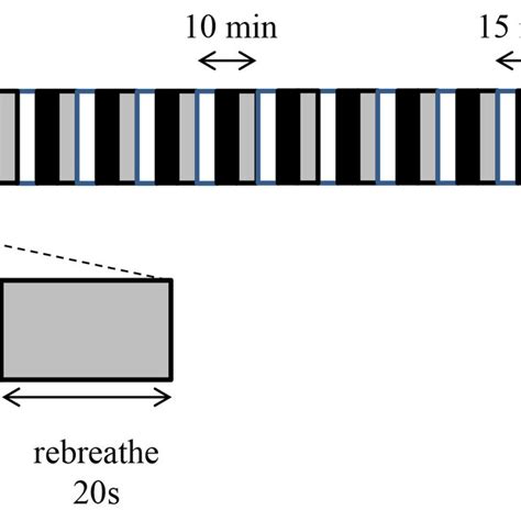Image result for Apneustic Breathing Example