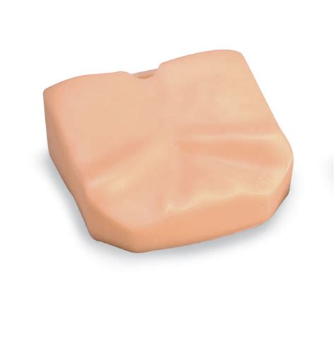 Image result for Fast 1 Training