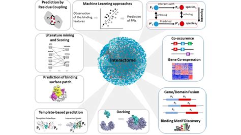 Image result for Protein Interactions Simulating Software