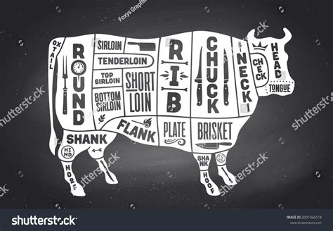 Cow Beef Scheme Diagram Chart Beef Stock Vector (Royalty Free ...