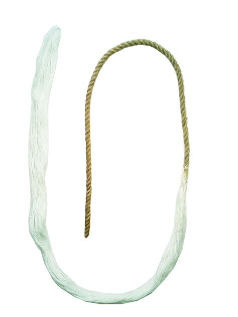 Image result for Neti String