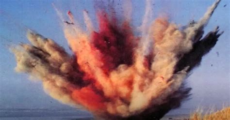 Image result for Whales Exploding When Beached