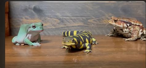 Image result for Resources Science Lesson