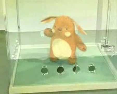 Image result for Exploding Animal Prank