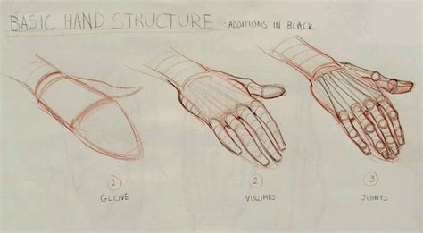 Image result for Hand Structure Drawing