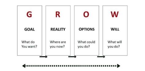 Image result for Grow Model of Reality