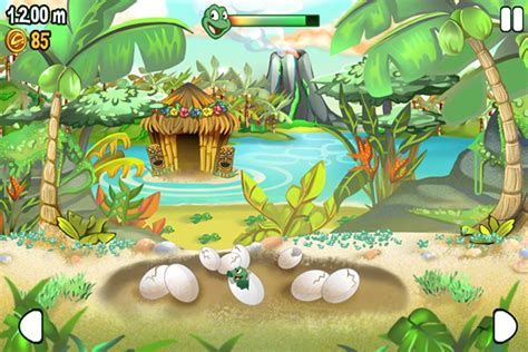 Image result for Turtle Trek